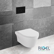 Rigel Toilet Best Price in Aug 2021 | BigGo Singapore