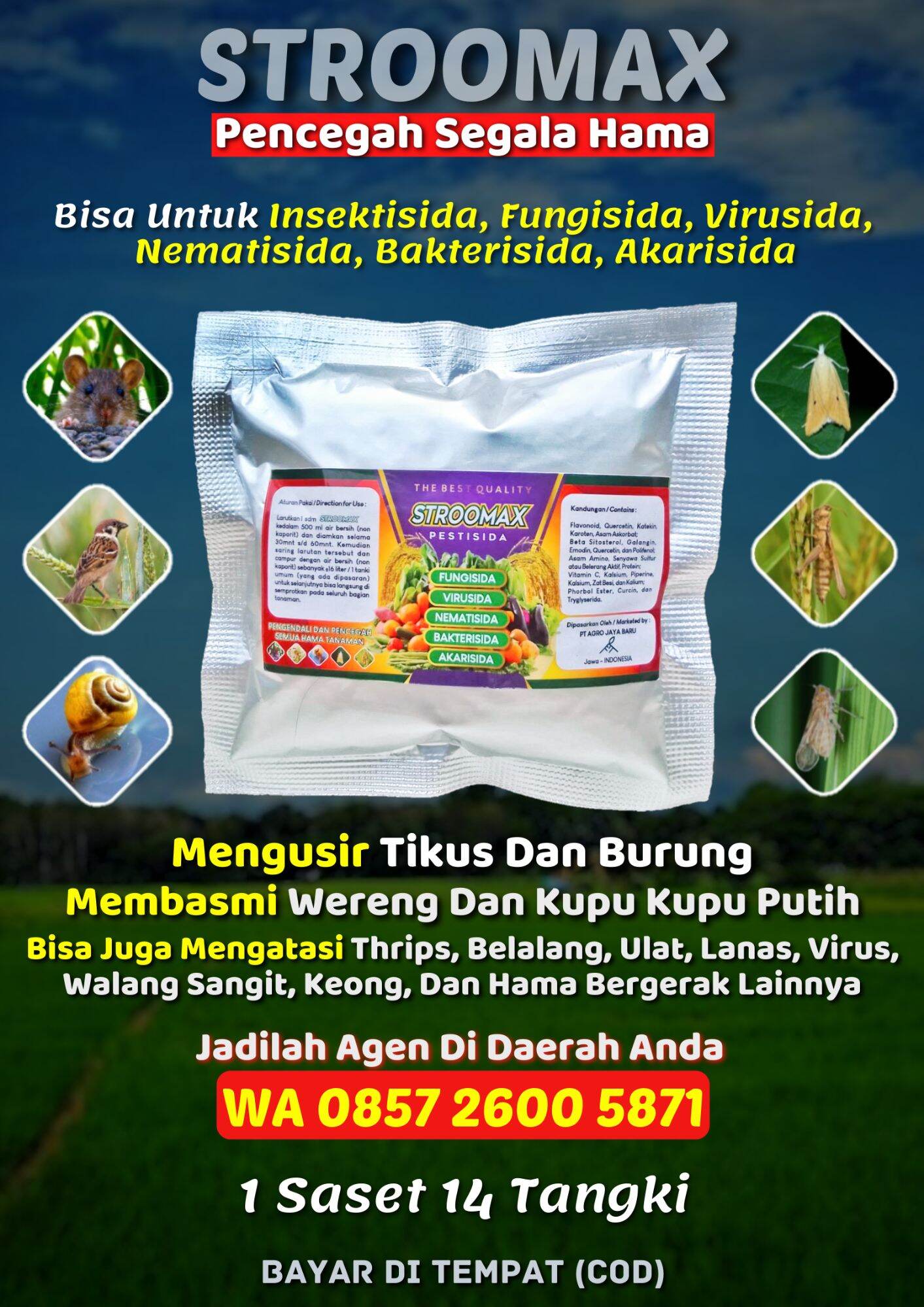 Harga Stromax Terbaru Desember 2022 |BigGo Indonesia