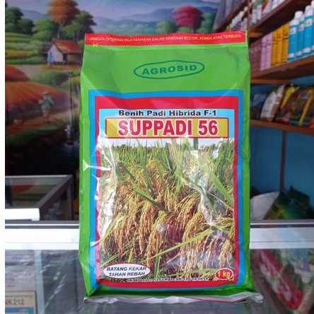 Harga Supadi Terbaru September 2022 |BigGo Indonesia