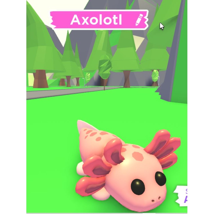 Axolotl Pet Best Price in Sep 2021 | BigGo Singapore