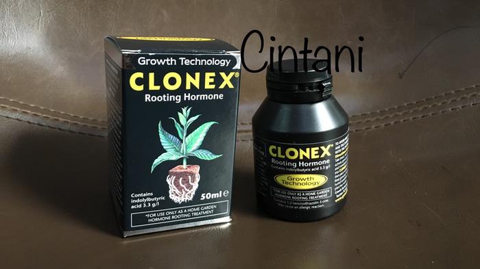 Harga Clonex Terbaru November 2022 |BigGo Indonesia