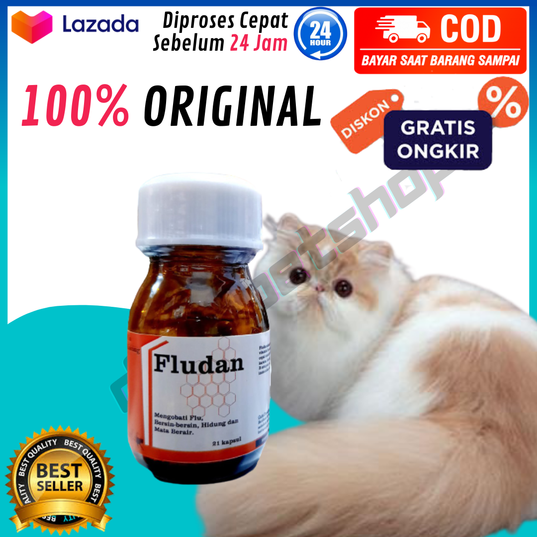 Harga Fludan Terbaru Agustus 2022 |BigGo Indonesia