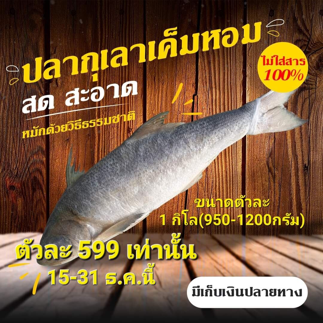 ปลากุเลาสด ถูกที่สุด พร้อมโปรโมชั่น ม.ค. 2023|BigGoเช็คราคาง่ายๆ