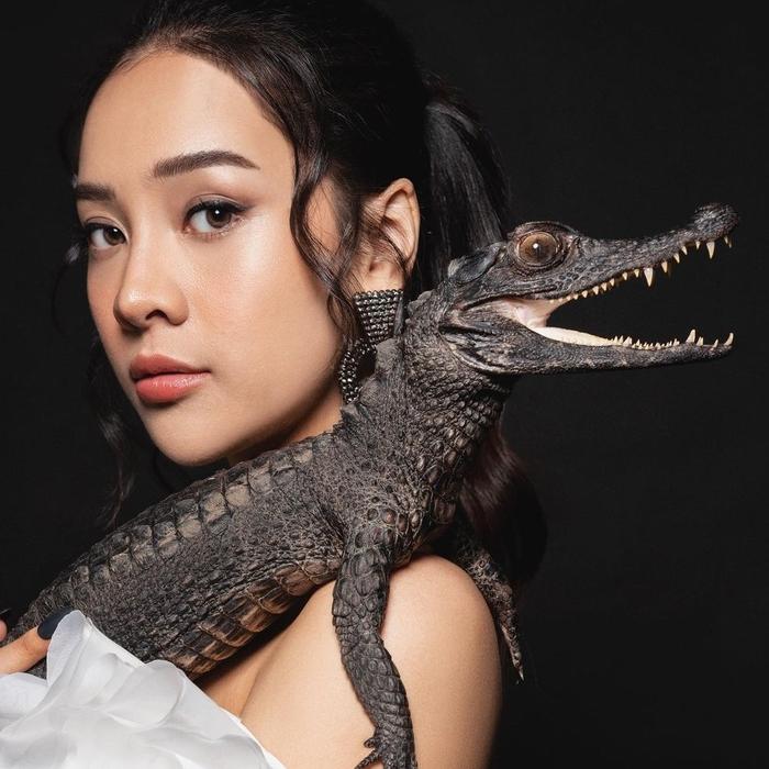 Harga Cuvier's Terbaru September 2022 |BigGo Indonesia