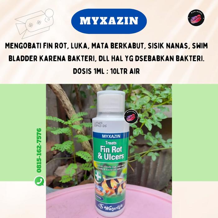 Harga Myxazin Terbaru Juli 2022 |BigGo Indonesia
