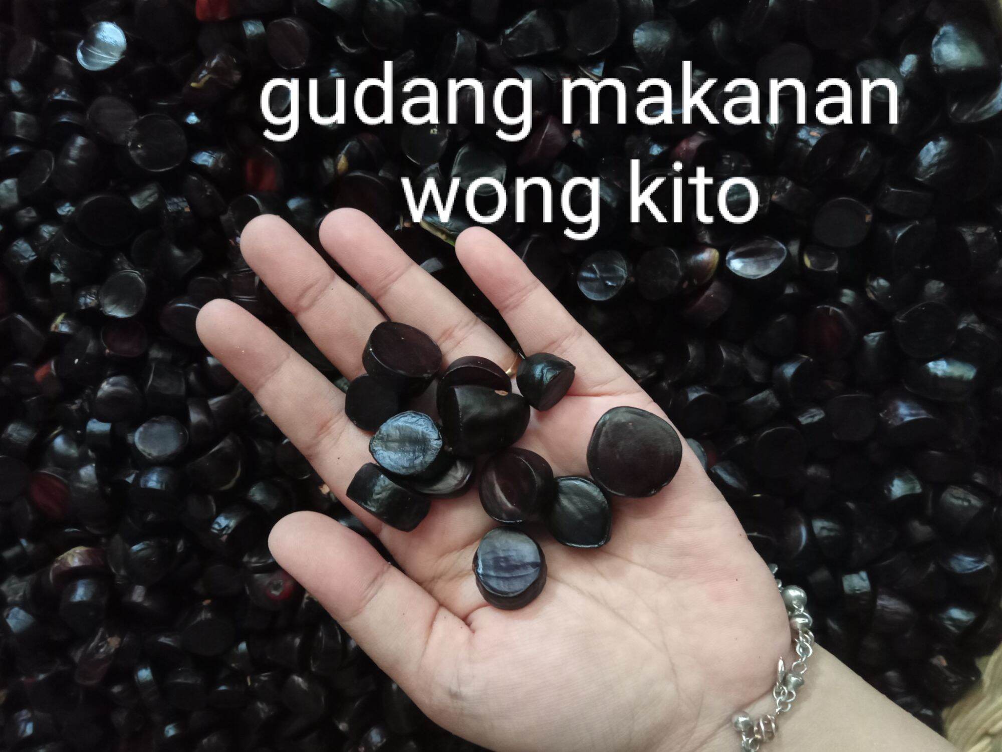 Harga Jolang Terbaru November 2022 |BigGo Indonesia
