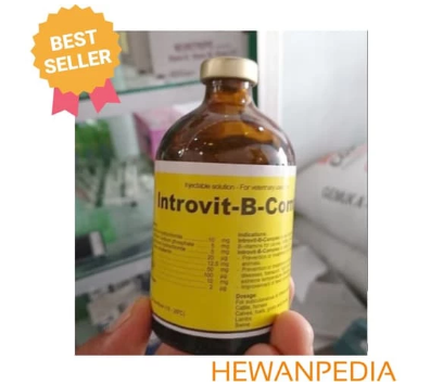 Harga Introvit-B-Complex Terbaru Januari 2023 |BigGo Indonesia