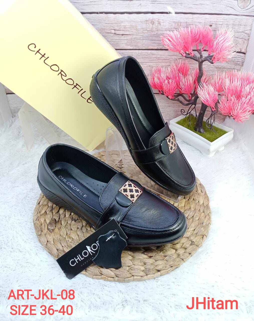 Harga Chlorofile Terbaru Oktober 2022 |BigGo Indonesia