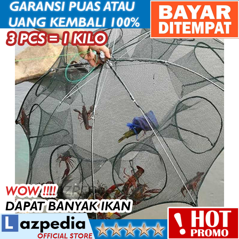 Harga Lobster Terbaru September 2022 |BigGo Indonesia