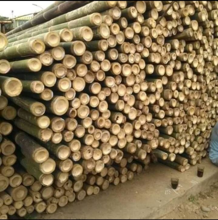 Harga Steger Terbaru Desember 2022 |BigGo Indonesia