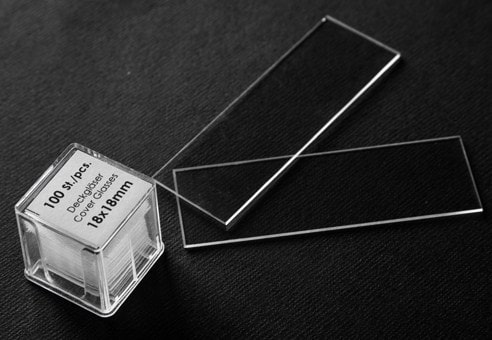 Harga Objek Terbaru November 2022 |BigGo Indonesia